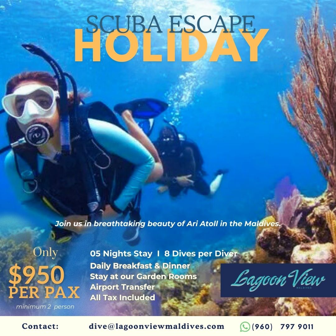 Dive Itinerary 5 Nights - Lagoon View
